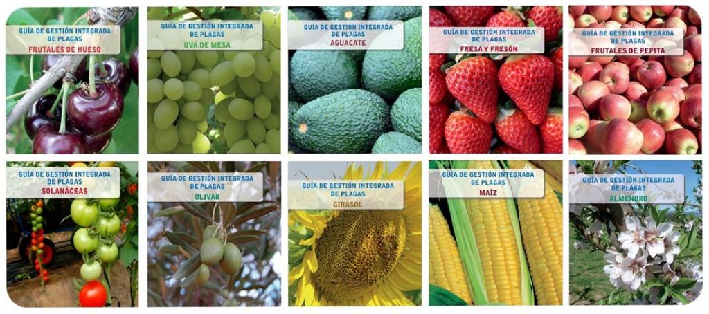 Gestión Integrada de Plagas - Junta de Andalucía